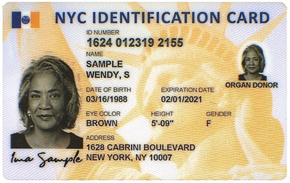 Record Number of NYC ID Cards Doled out to Illegal Migrants in 2023 ...